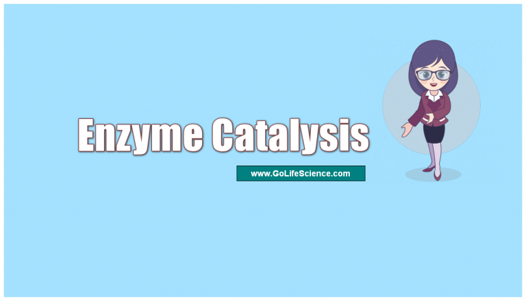 Diagnostic Enzymes: 3 Serum markers in Clinical Analysis