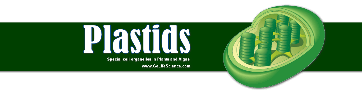 Plastids: Special cell organelles in Plants and Algae