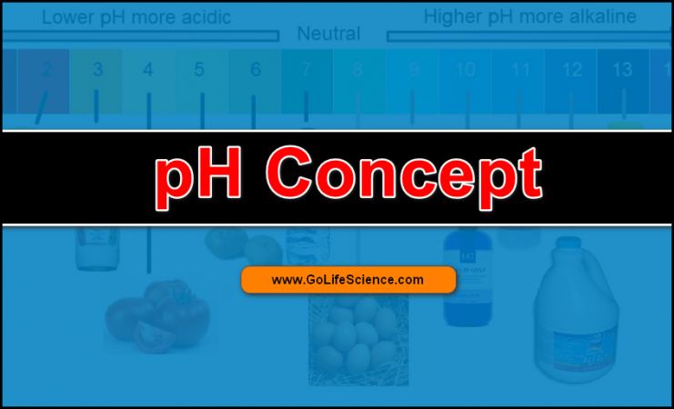 pH Concept: What are the Basics and Importance of pH concept