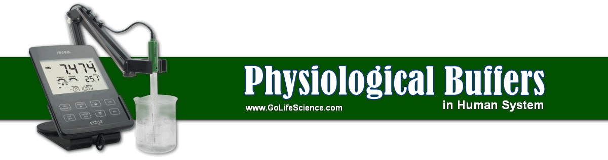 What are the Physiological buffers and Systems in humans?